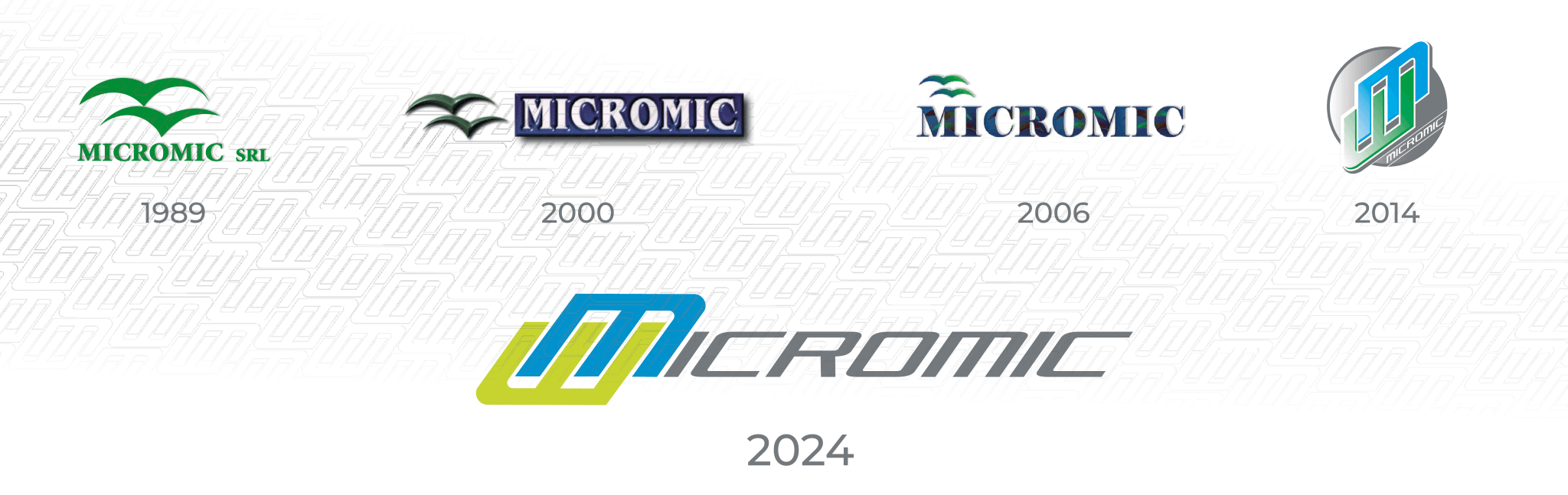 Chi Siamo – Micromic